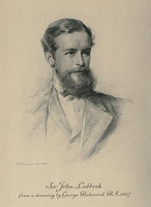 St Lubbock And His Pet Wasp | Professor Hedgehog's Journal